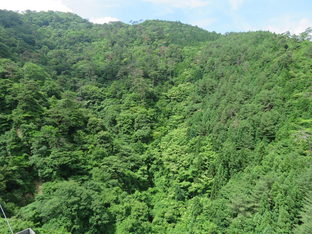 ⑥20170705 - Mt. Rokko and Mt. Maya Aerial Ride