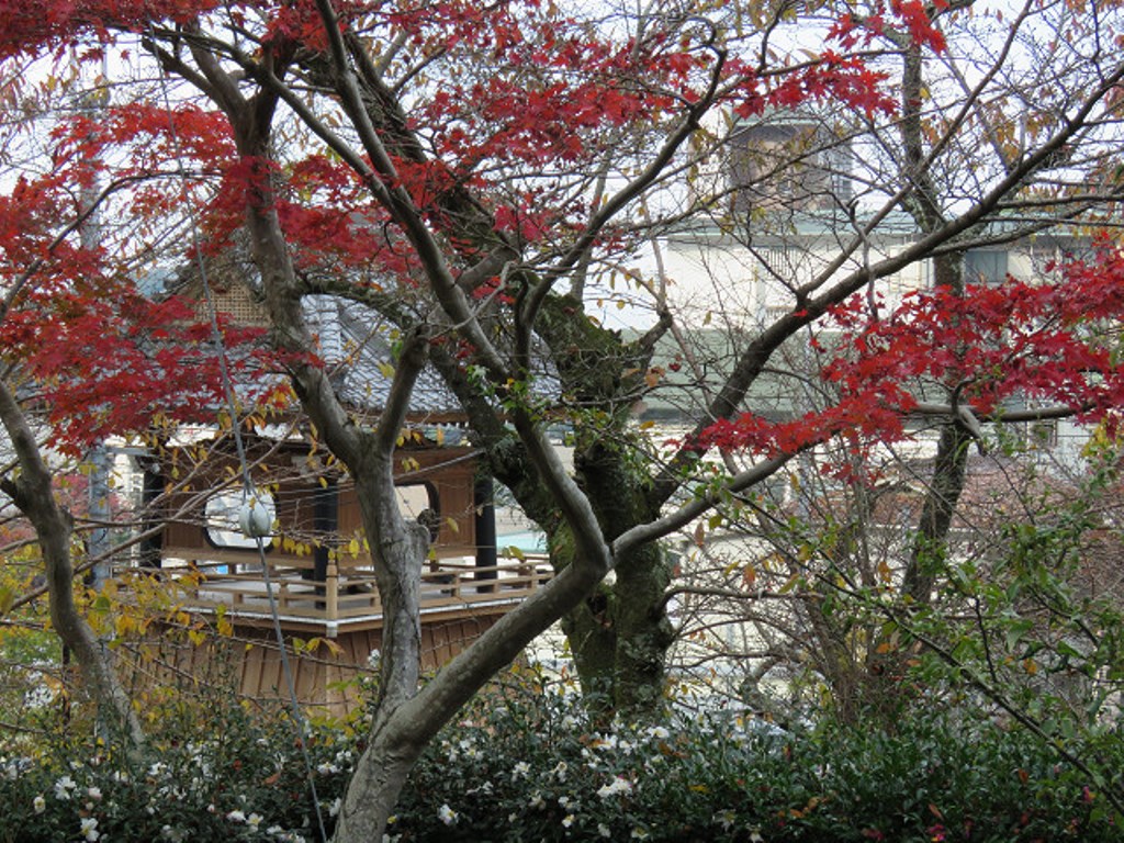 ⑨20171108 - Mt. Rokko and Mt. Maya Aerial Ride